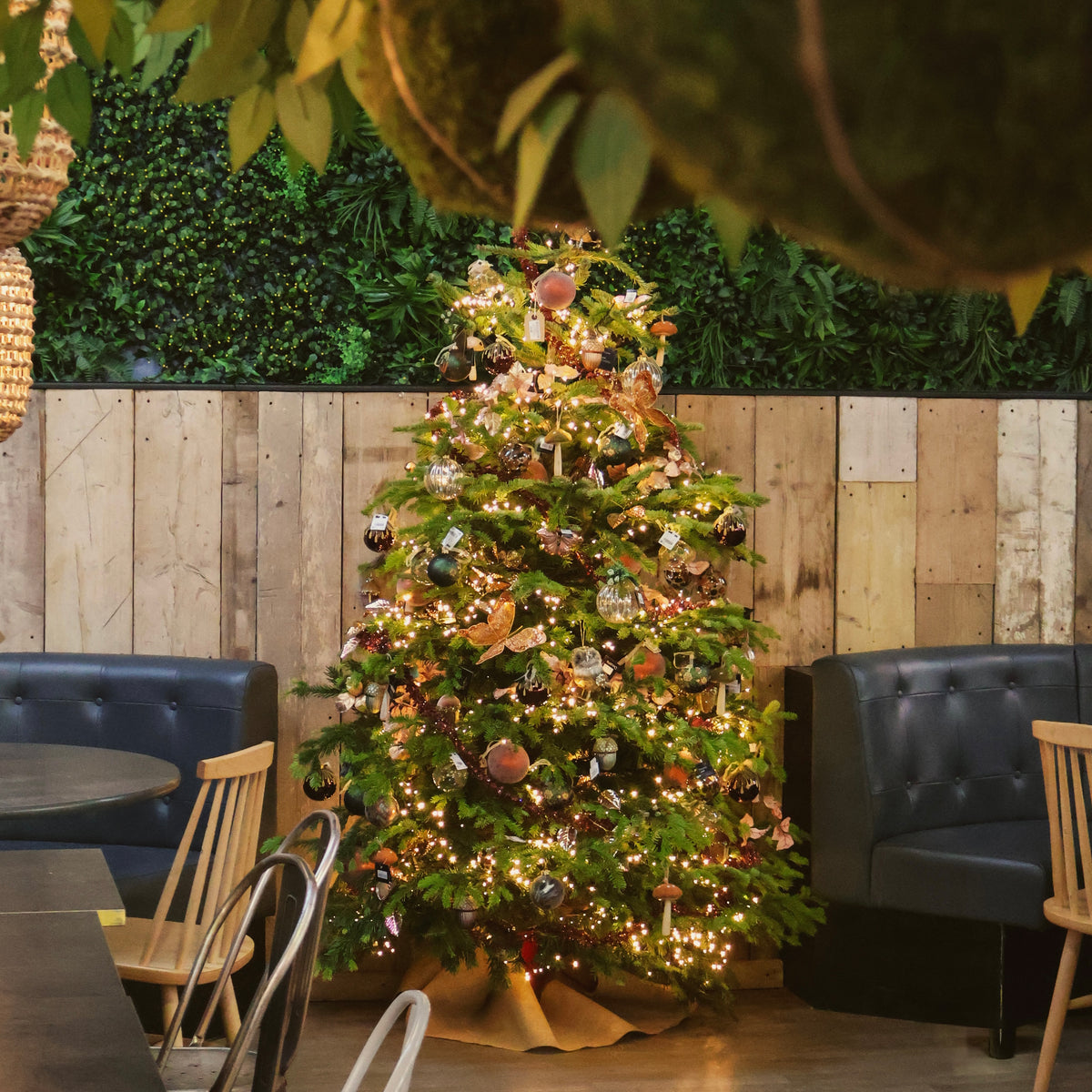 Real vs. Fake Christmas Trees: The Pros and Cons of Both Choices ...