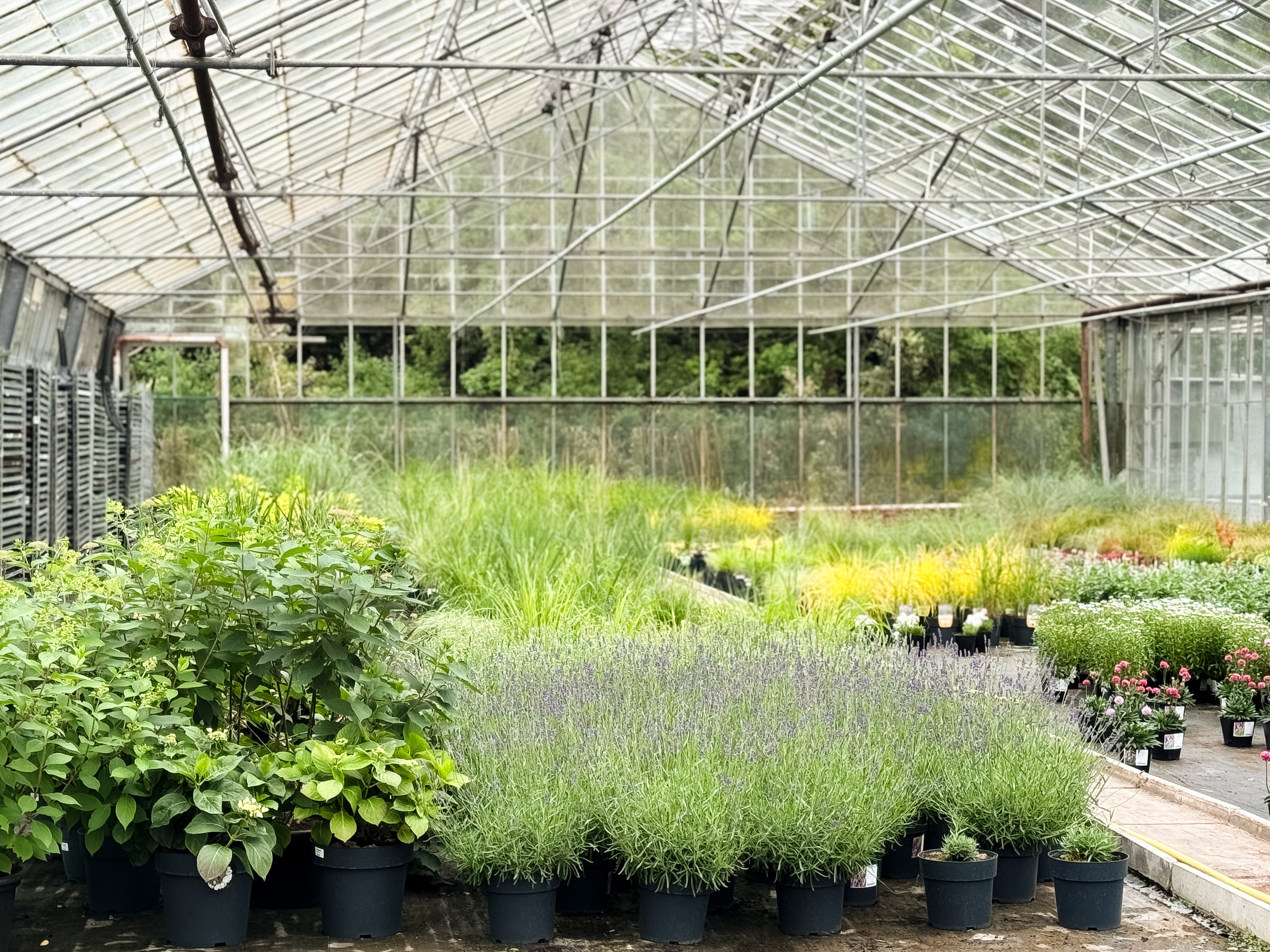 About Us | Flowerland